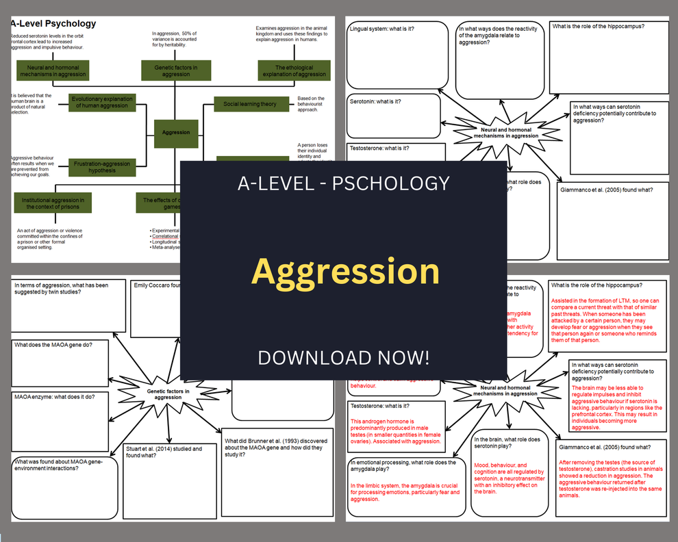 Aggression - Mind Maps – Stockley academia